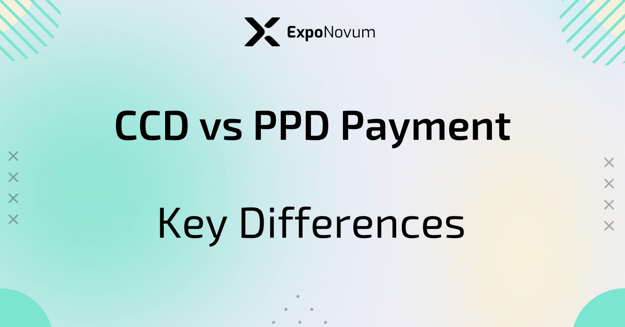 CCD Vs PPD - 5 Key Factors To Determine The ACH Winner